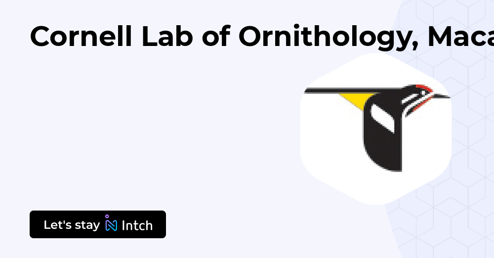 Cornell Lab of Ornithology, Macaulay Library | Intch