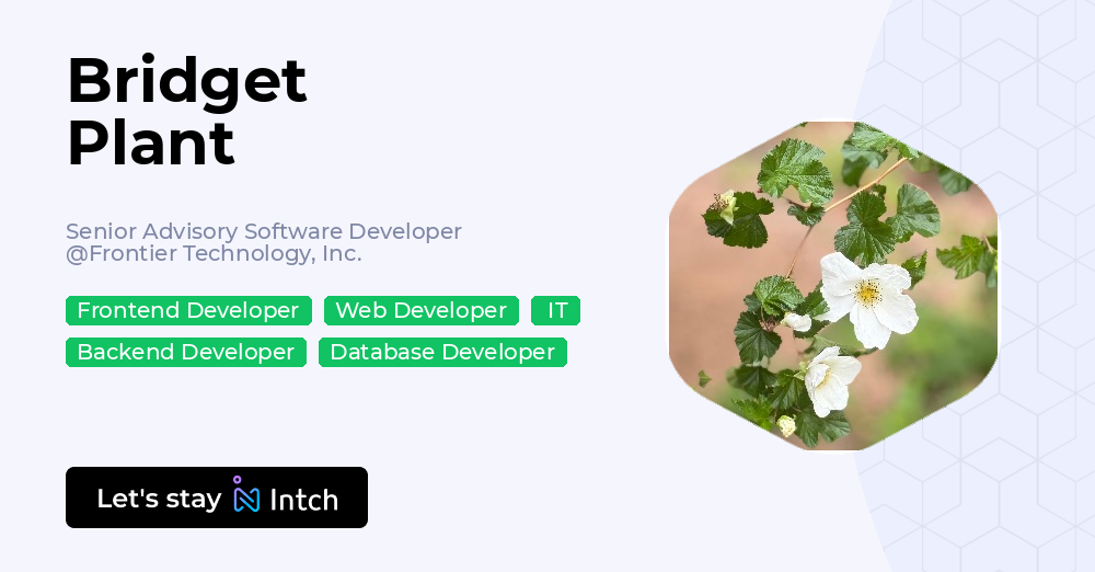 Bridget Plant - Senior Advisory Software Developer, Frontier Technology ...