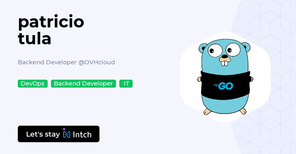 patricio tula - Backend Developer, OVHcloud | Intch